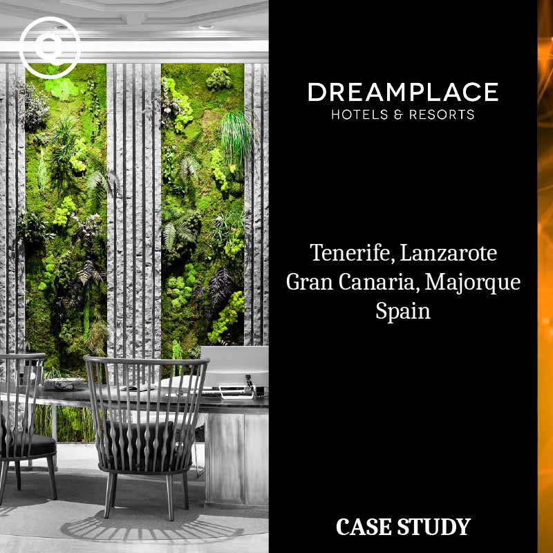 El éxito de Dreamplace Hotels con la IA en soluciones de reservas